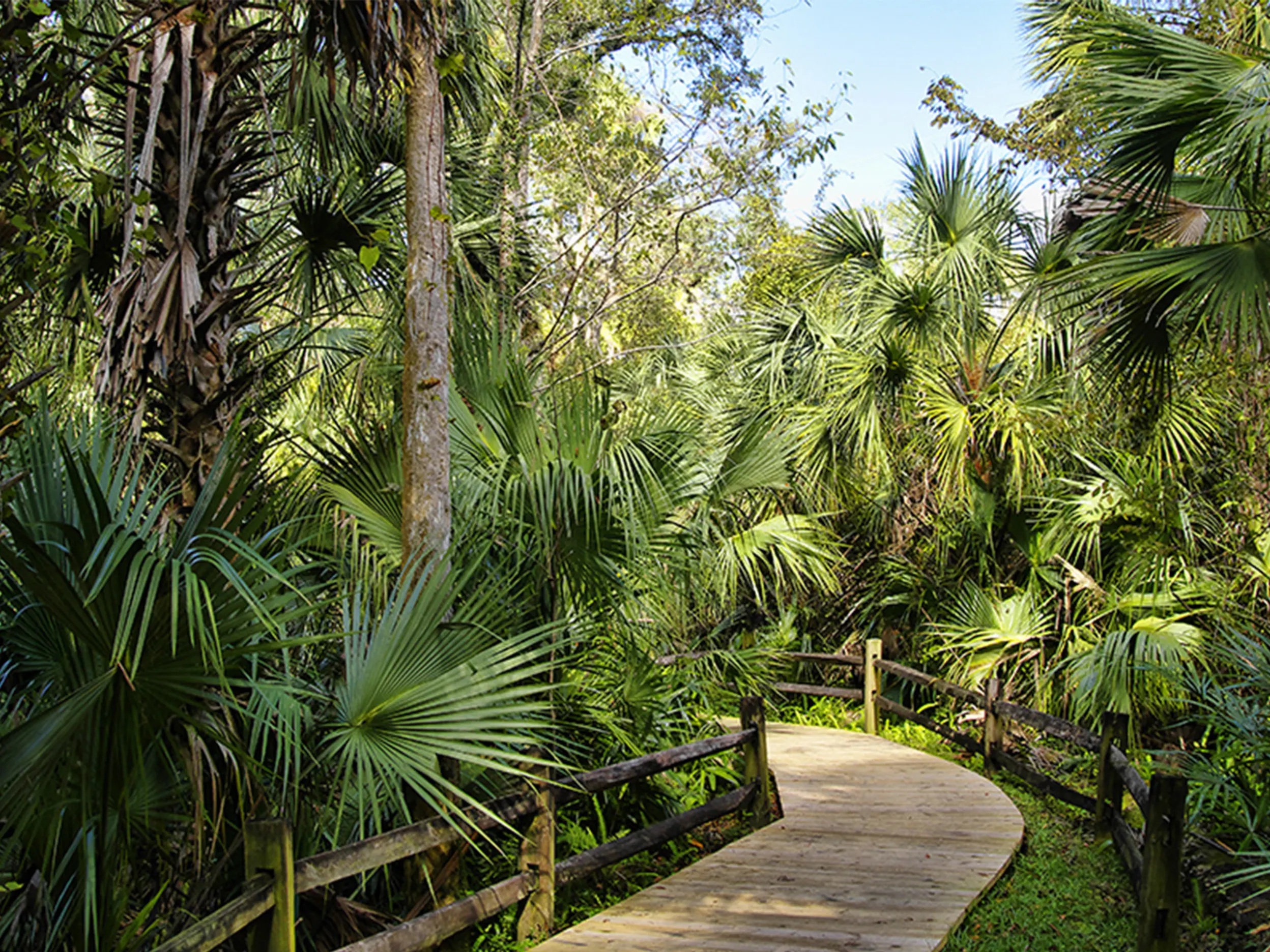 Strategic Conservation Mapping - Land Trust Alliance