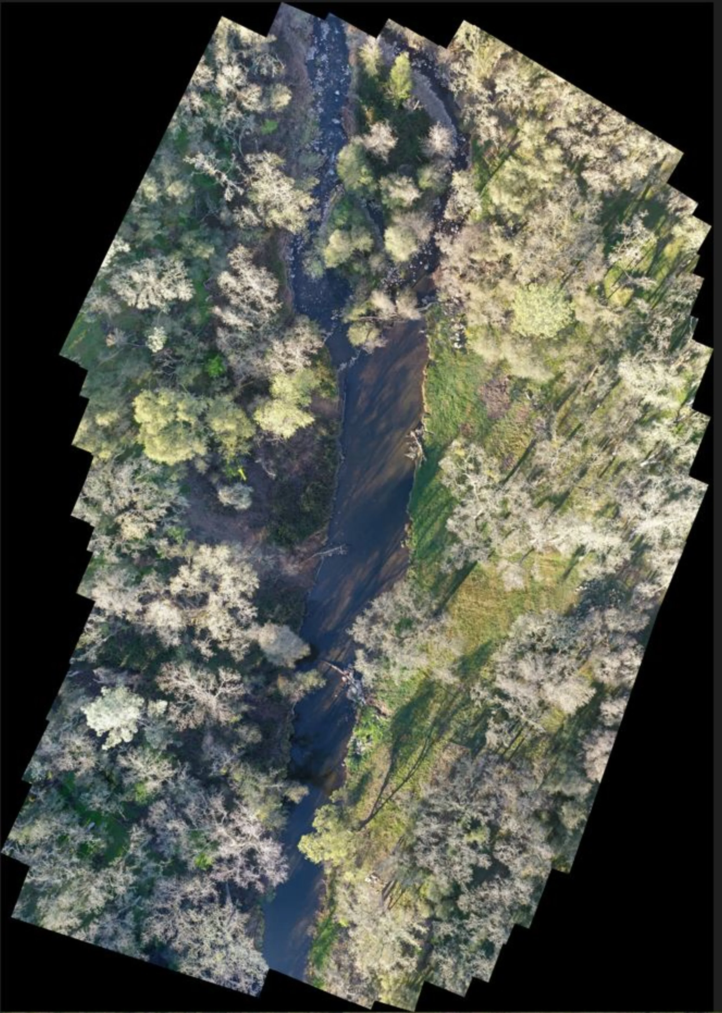 Ecological monitoring and restoration - Land Trust Alliance