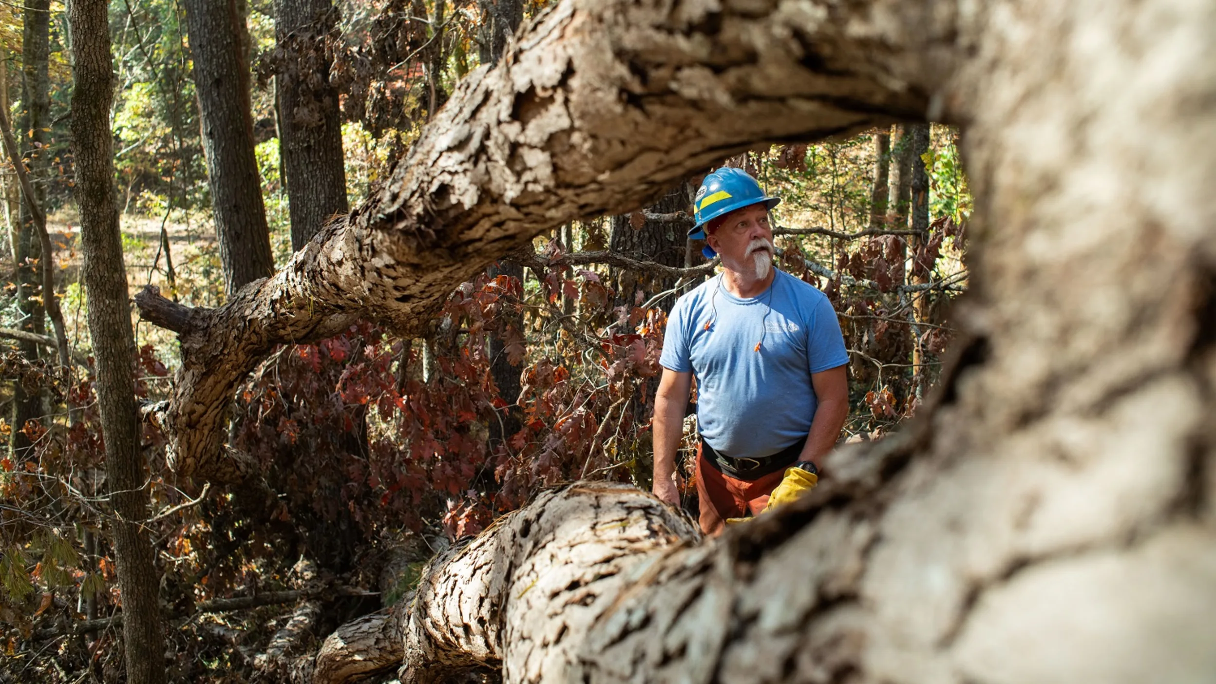 Land trusts respond to Hurricane Helene - Land Trust Alliance