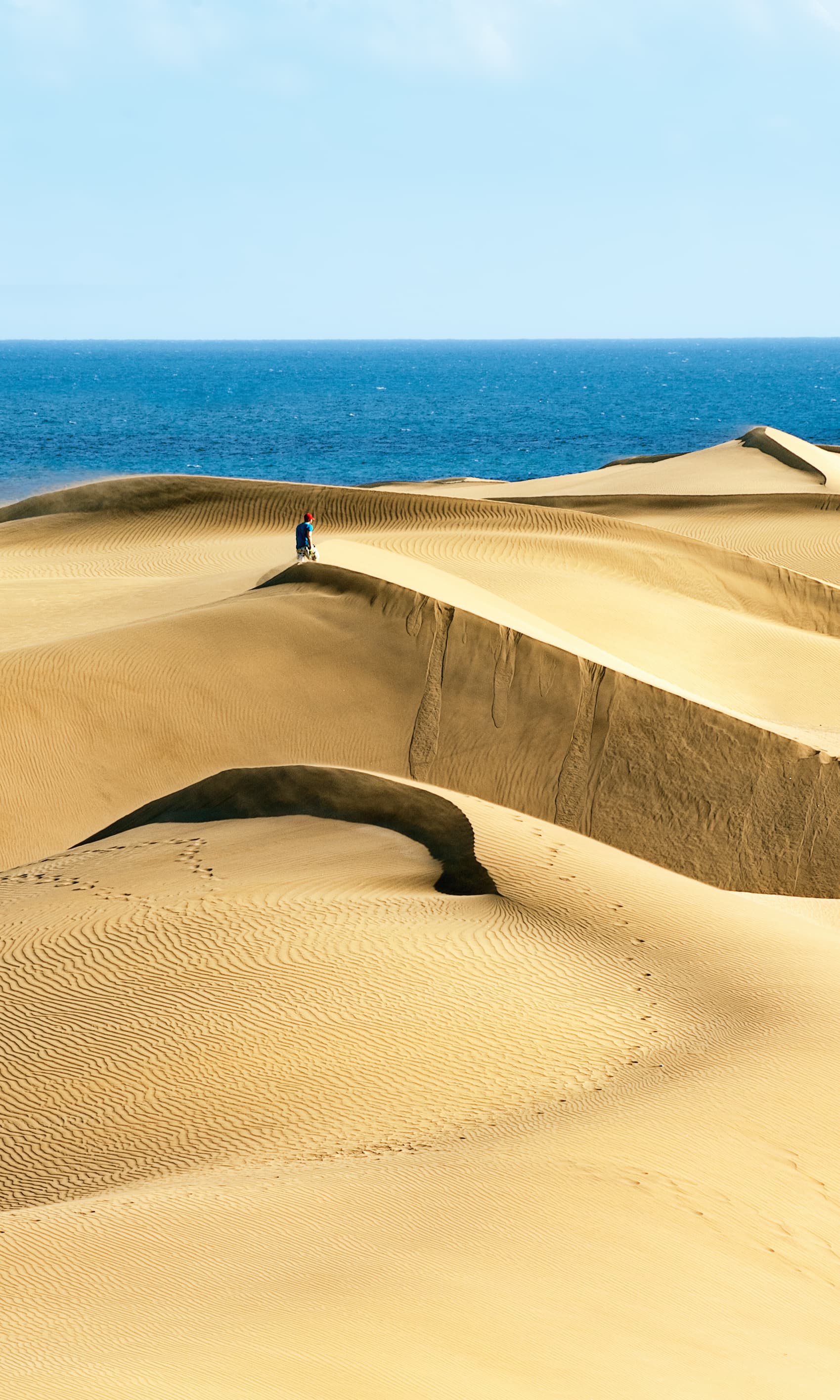 Vuelos baratos | Buscador de vuelos | Rumbo