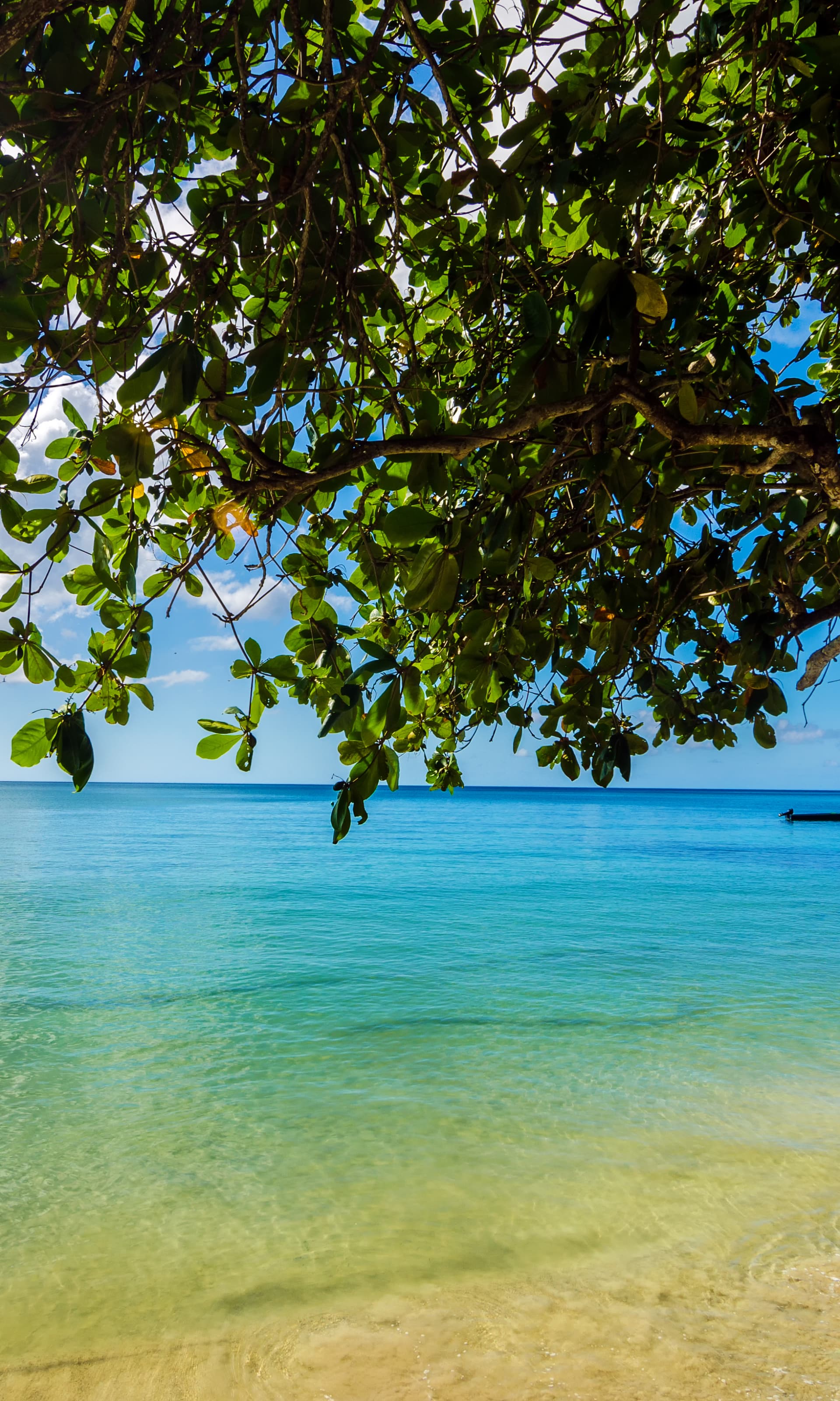 Viajes a Colombia | Ofertas Vuelo + Hotel | Rumbo