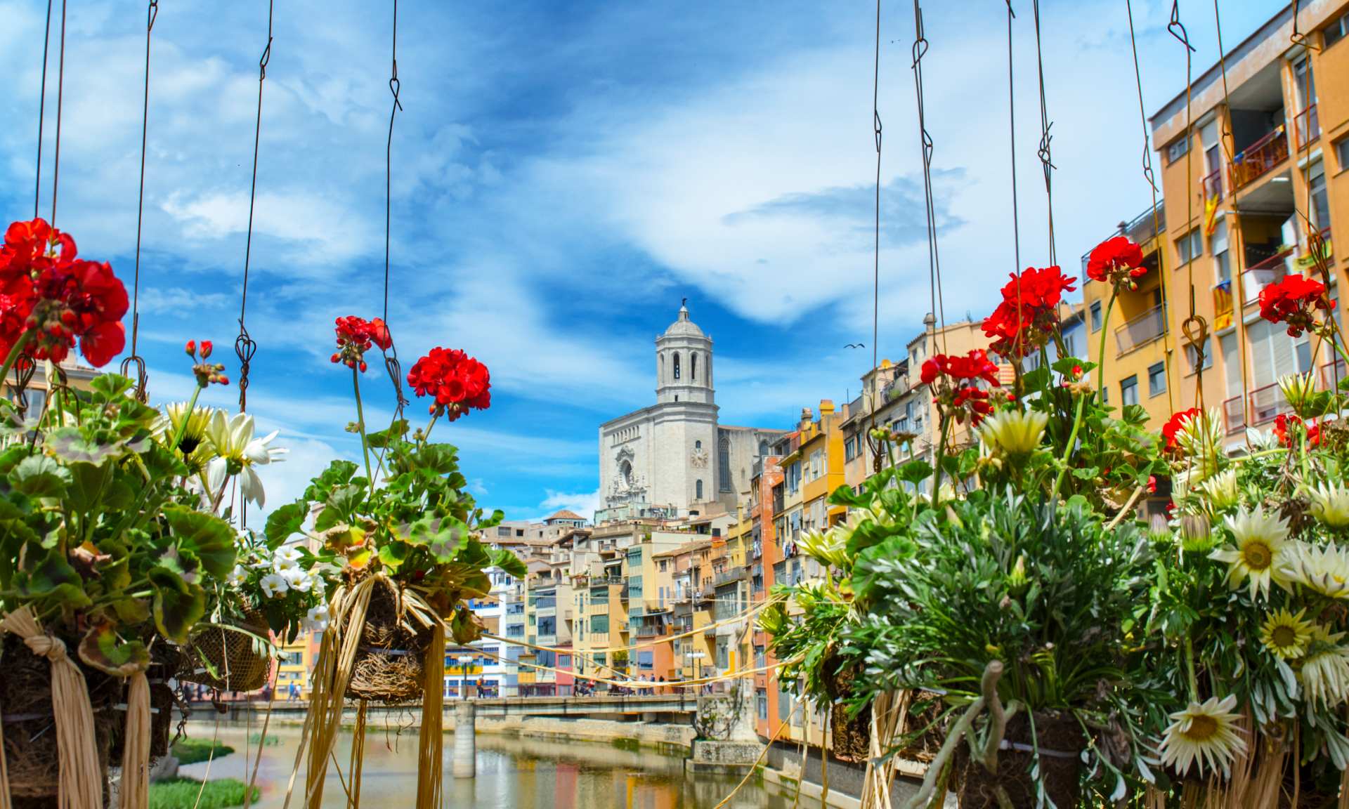 Book and compare cheap flights | Bravofly