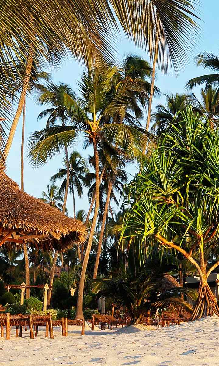 Tanzania Hotels 2025/2026 | Best hotels in Tanzania | lastminute.com