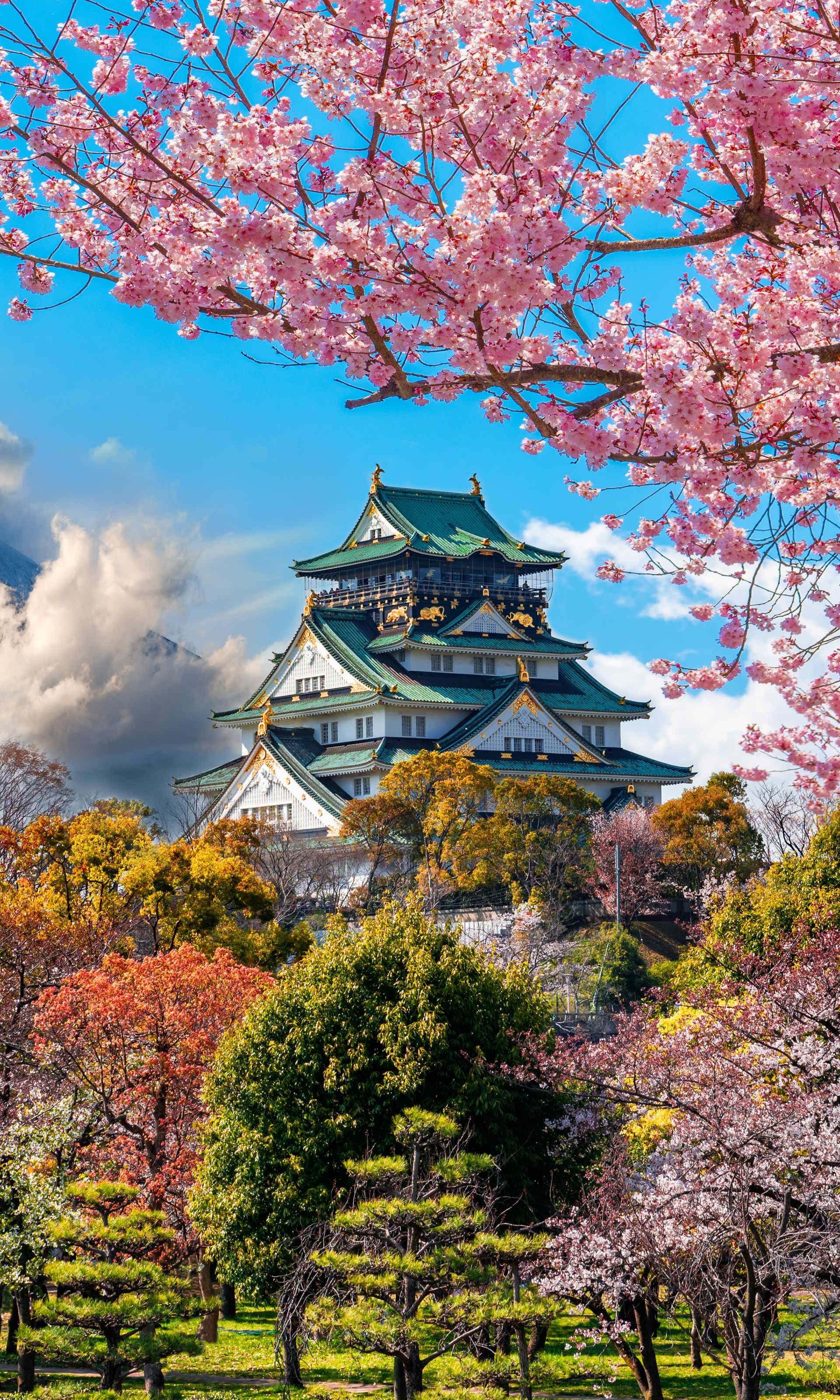 Japan Holidays 2025 | Cheap Holidays to Japan from £812 | lastminute.com