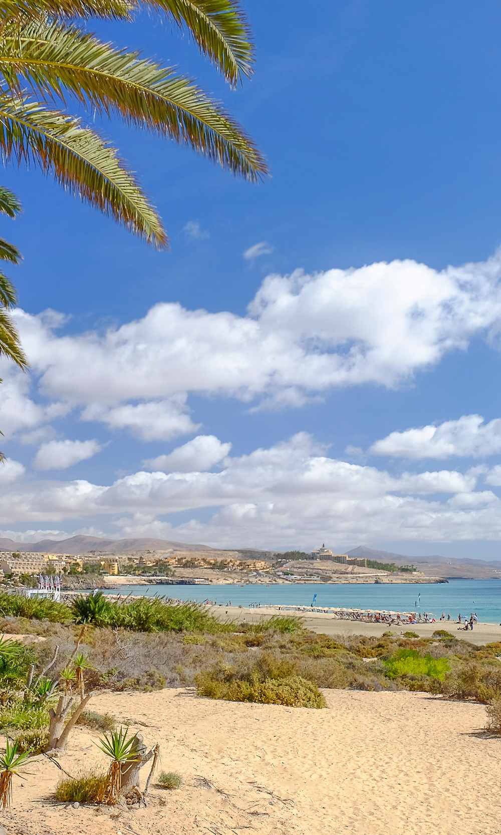 Schne Urlaub Fuerteventura 2024 Bilder