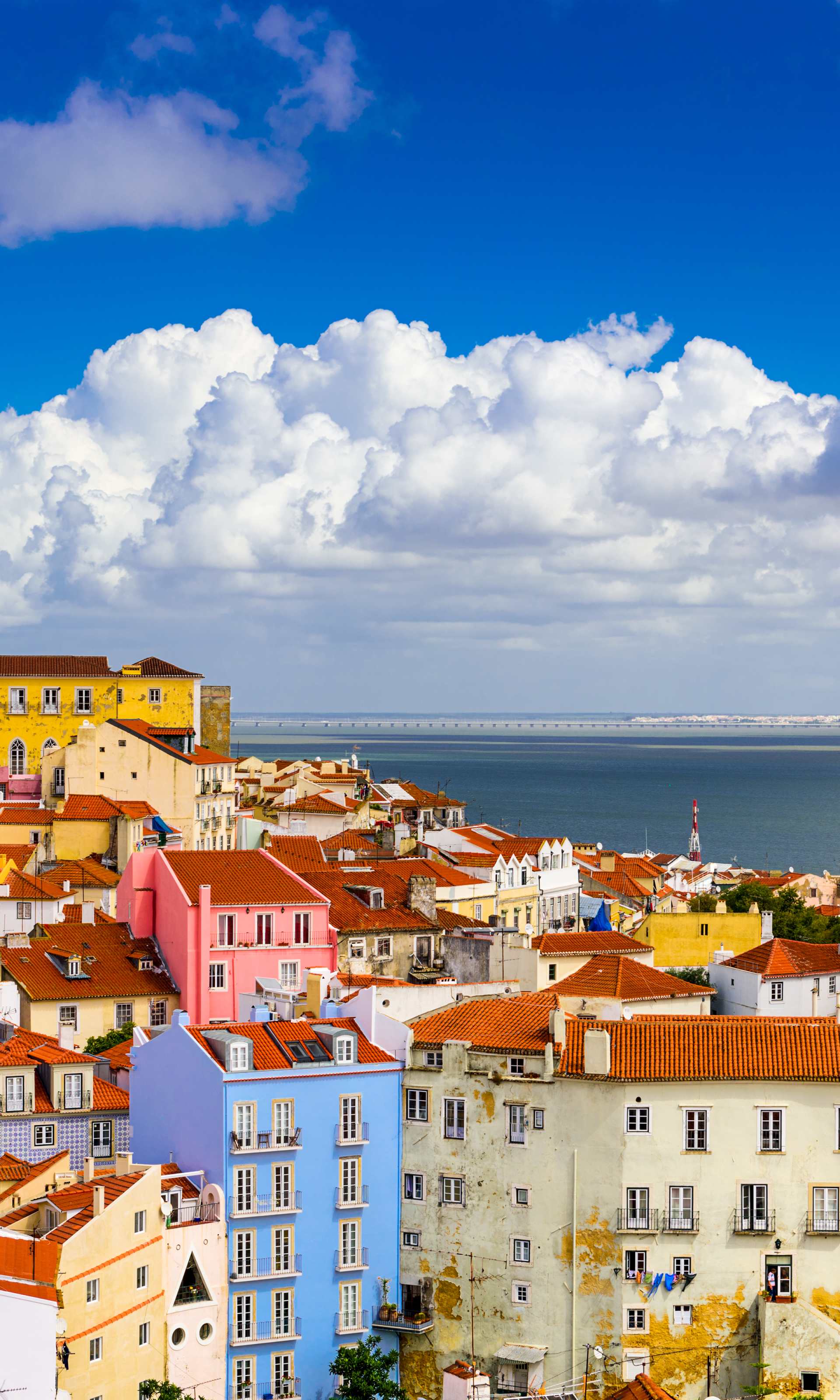 Vuelos baratos | Buscador de vuelos | Rumbo