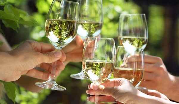 Die schönsten Weinfeste in Europa | weg.de