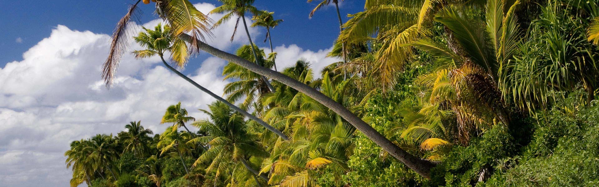 Cook Islands Holidays 2024/2025 | Cheap Holidays to Cook Islands ...