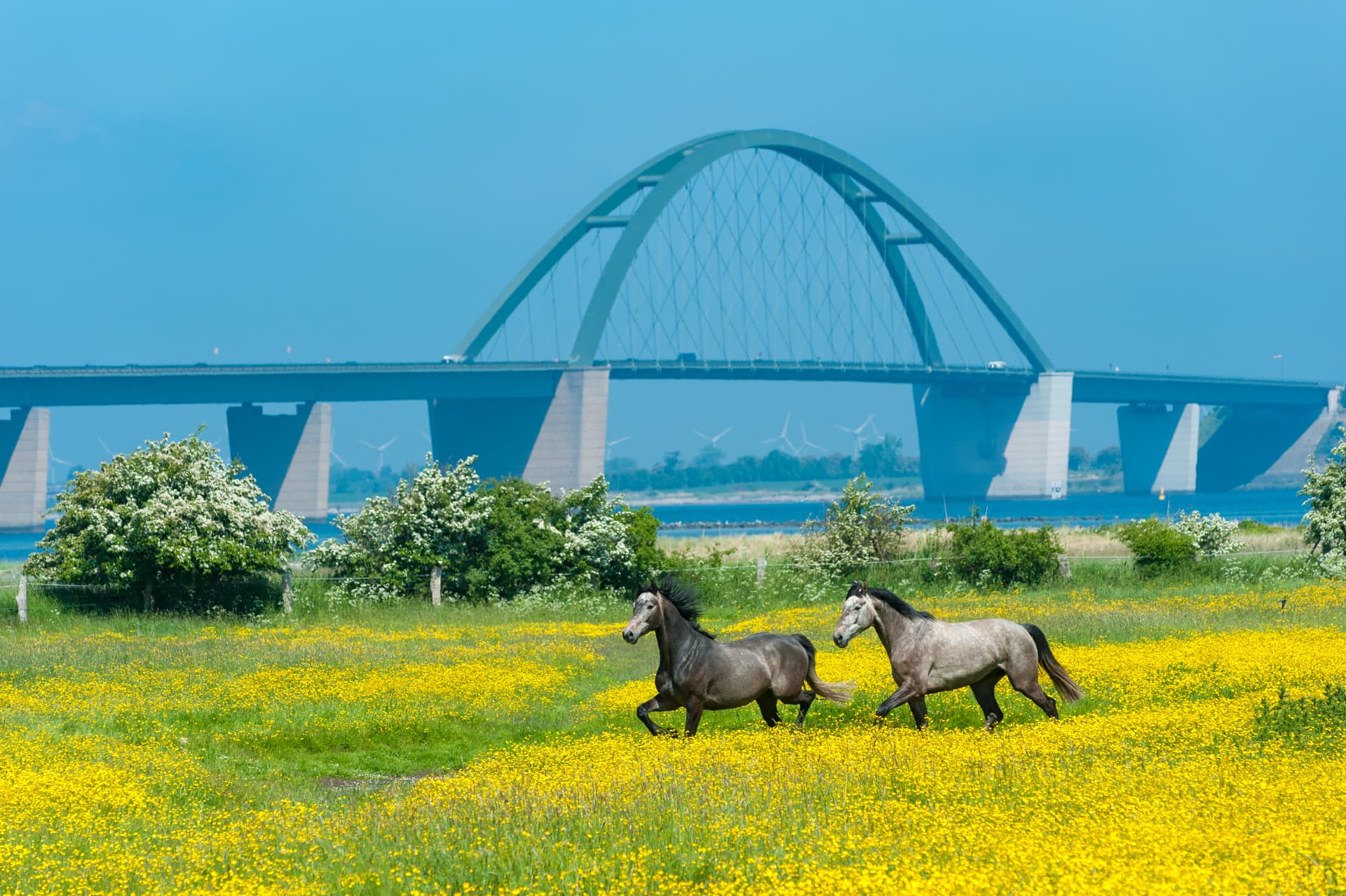 Die schönsten Strände auf Fehmarn | weg.de