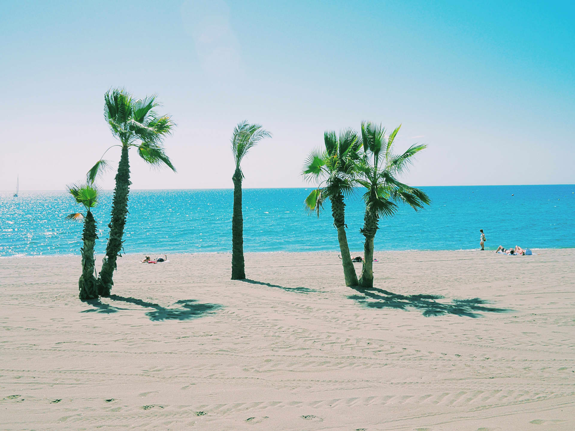 5 best things to do in Marbella|Marbella sights | lastminute.com