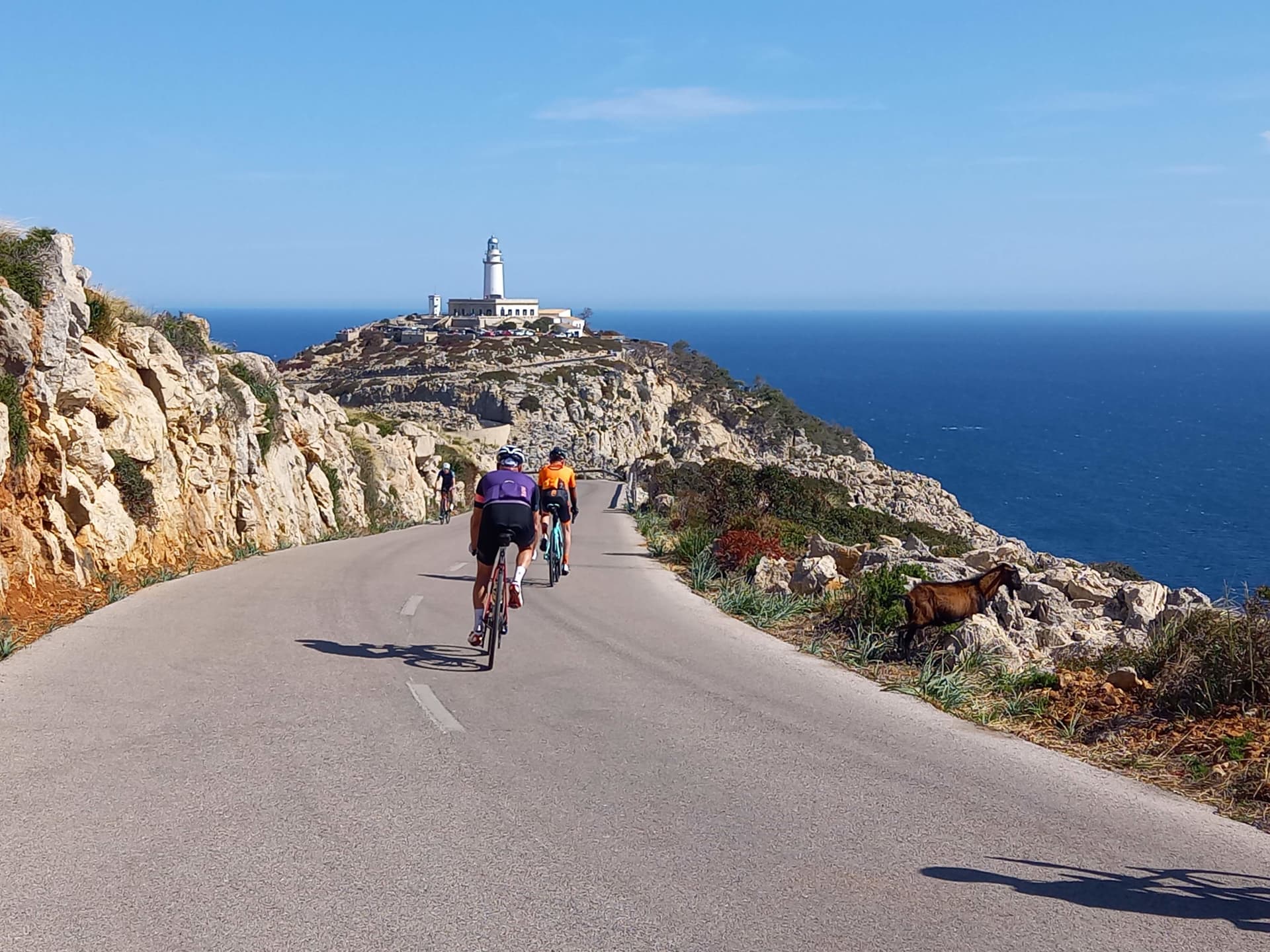 Where to hire a bike in Pollenca | lastminute.com