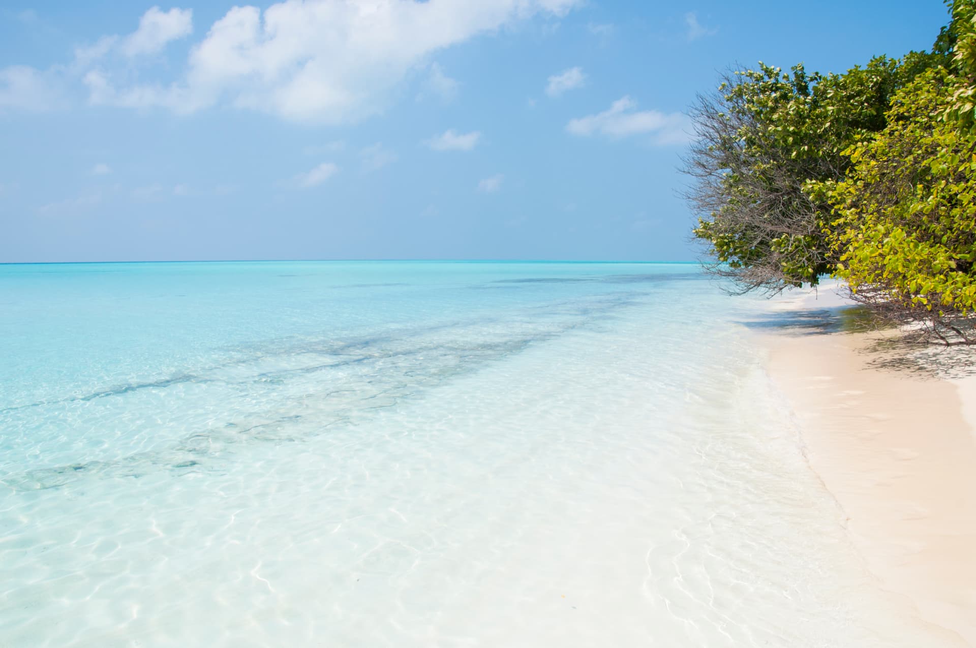 Le 10 spiagge più belle delle Maldive | Volagratis
