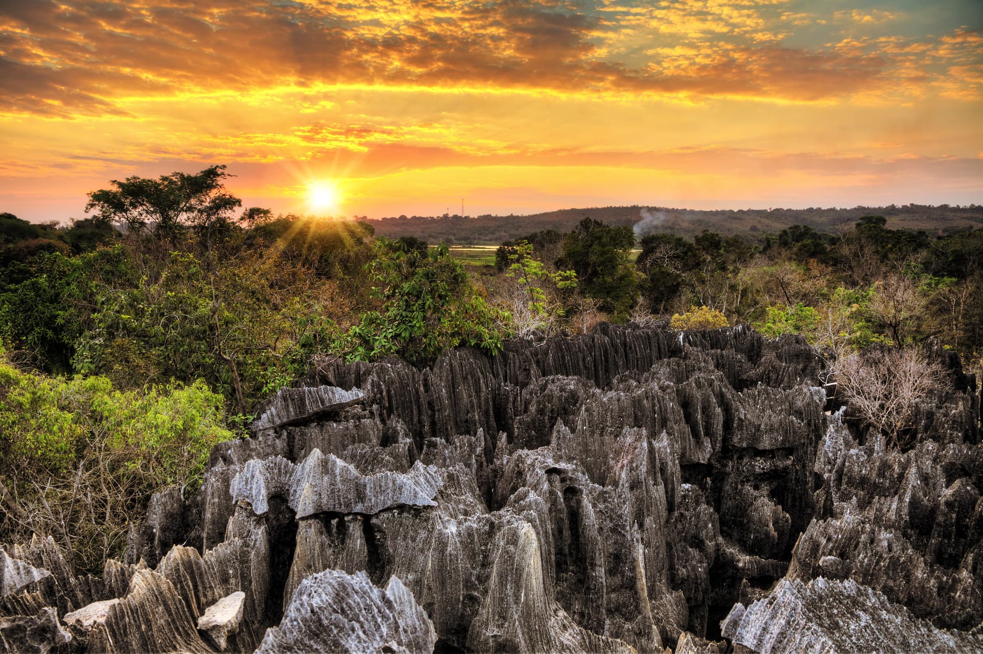 Quando andare in Madagascar: periodo migliore e clima | Volagratis
