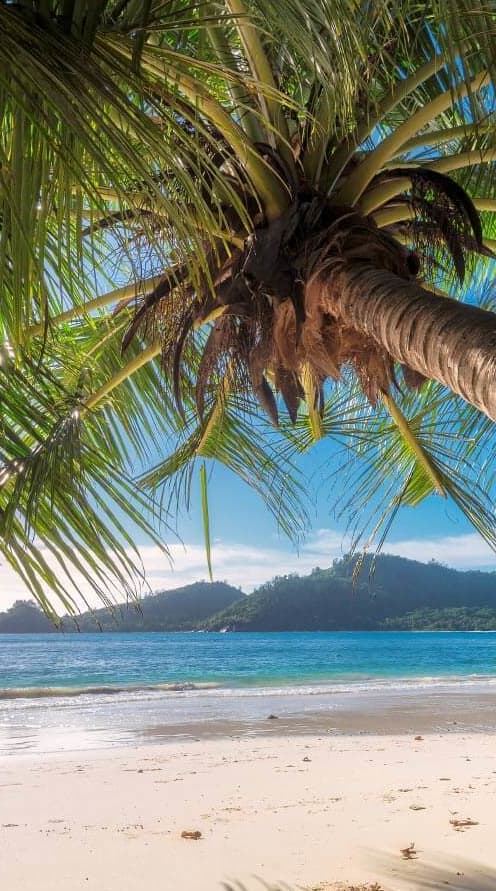 ltur Reiseangebote günstig buchen | lastminute.com