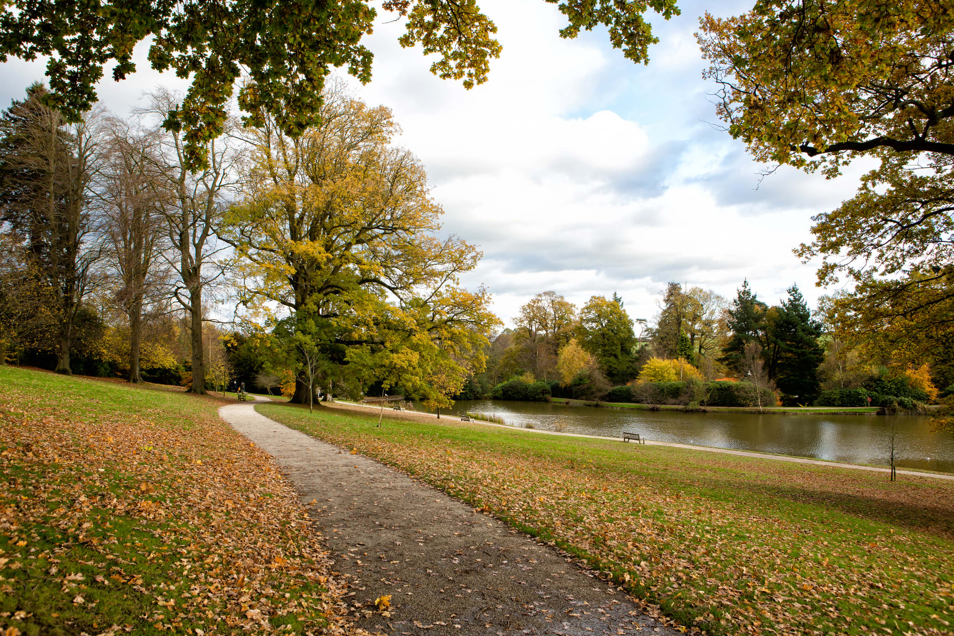 Best things to do in Nottingham | lastminute.com