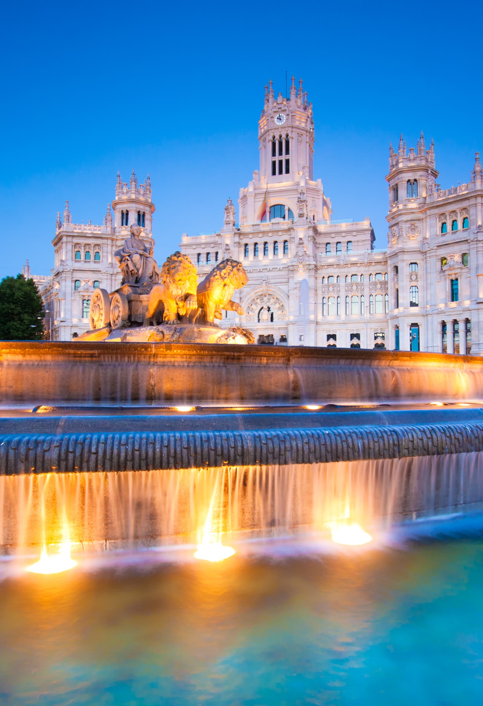 Vuelos baratos | Buscador de vuelos | Rumbo