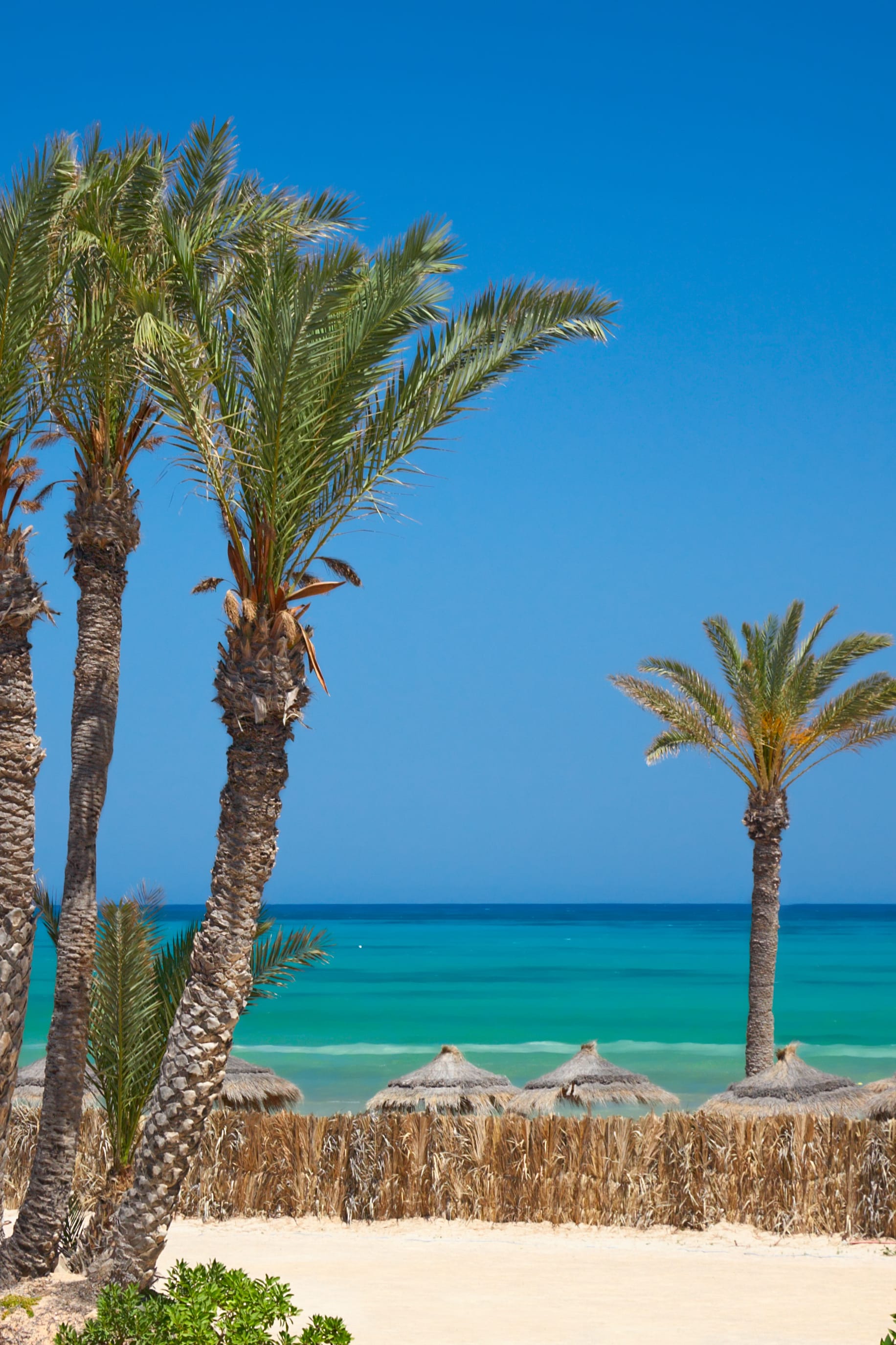 Vol + Hotel à Ville de Djerba Midoun | lastminute.com