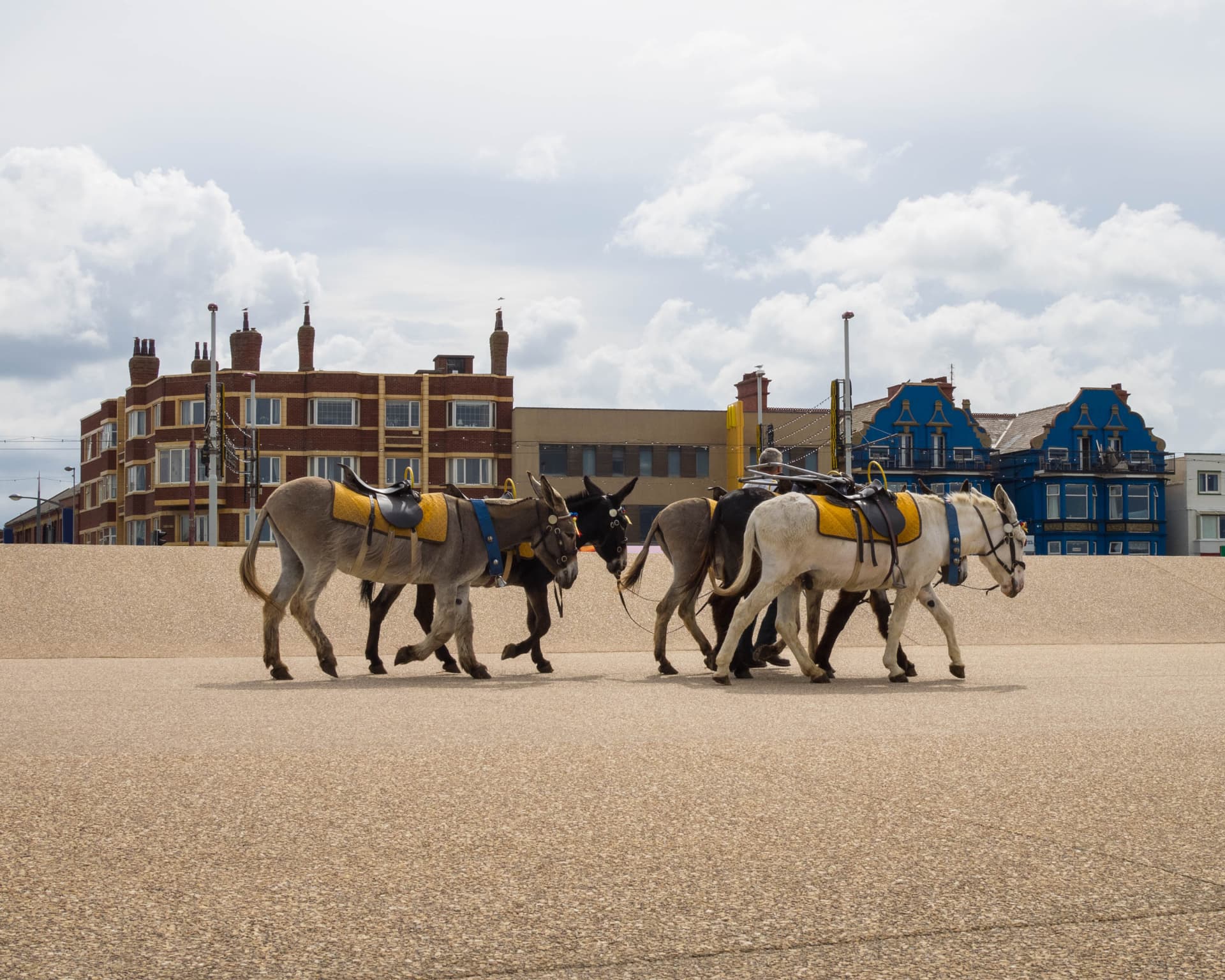 6 Best Free Things To Do In Blackpool | lastminute.com