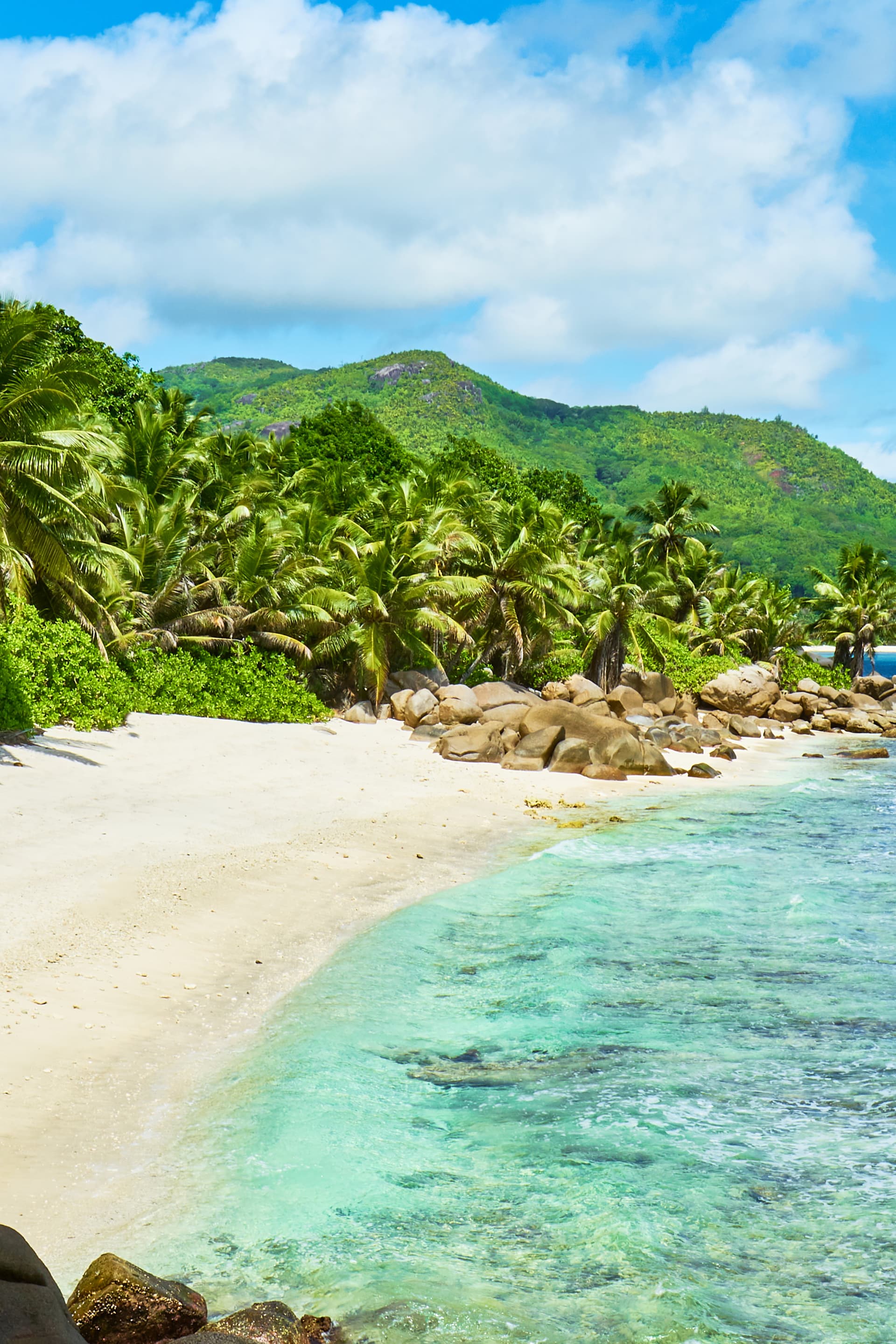Seychelles - Praslin Island Holidays 2024 | Cheap Flight + Hotel ...