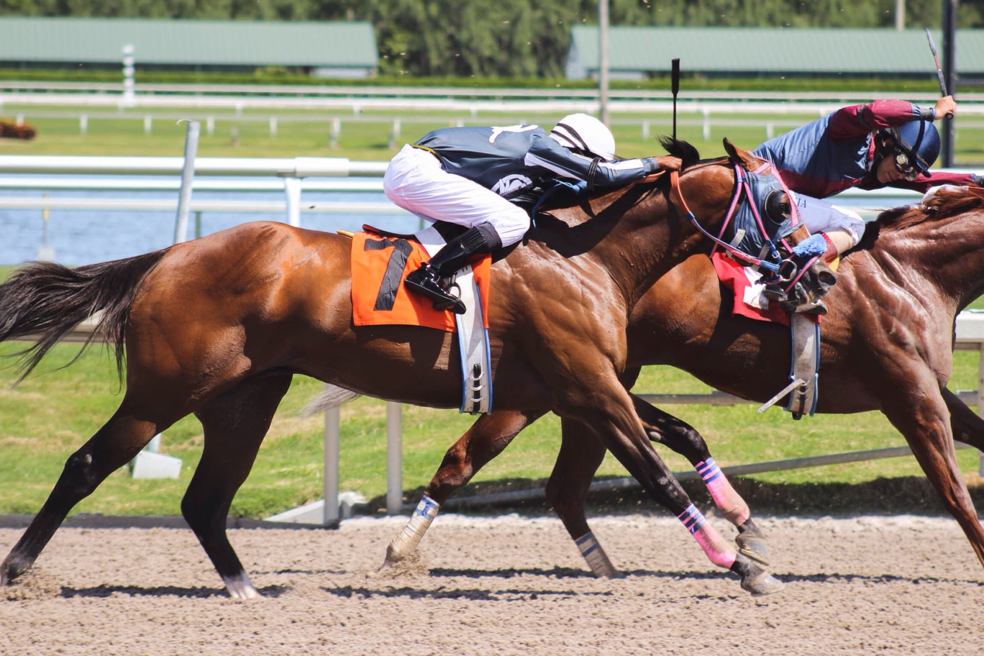 Things to do in Windsor | lastminute.com