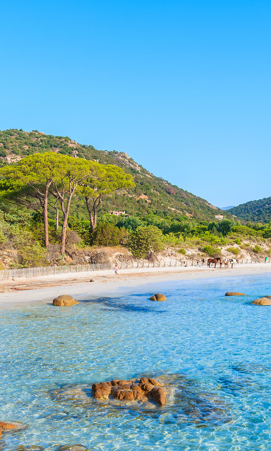 Comment aller en Corse ? | lastminute.com