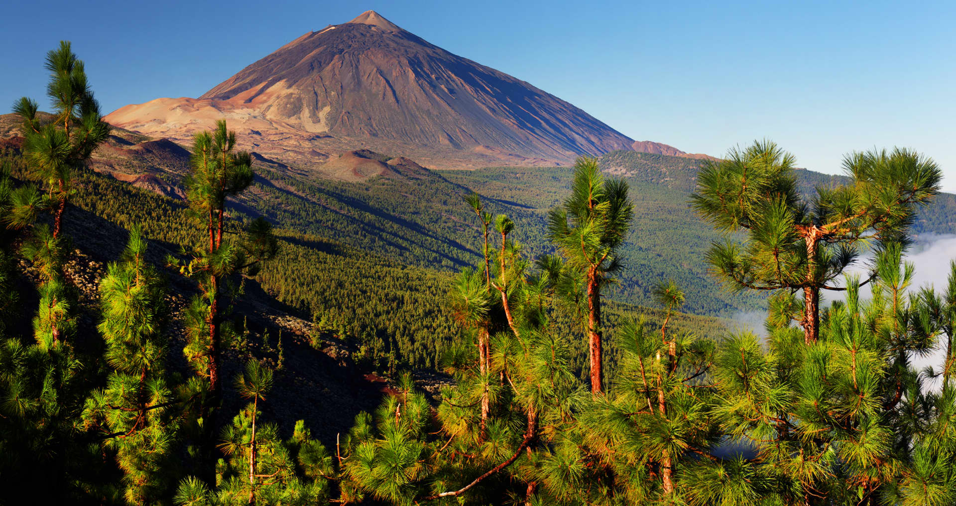 Mount Teide guide | Things to do in Teide National Park | lastminute.com