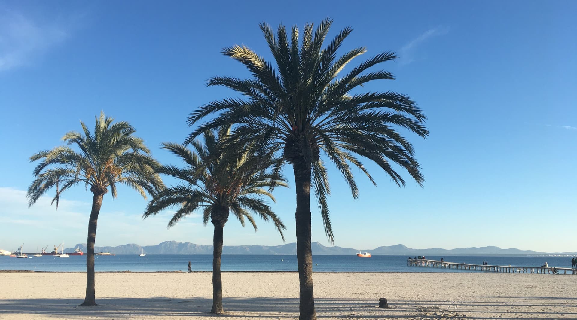 TUI Reisen | lastminute.de