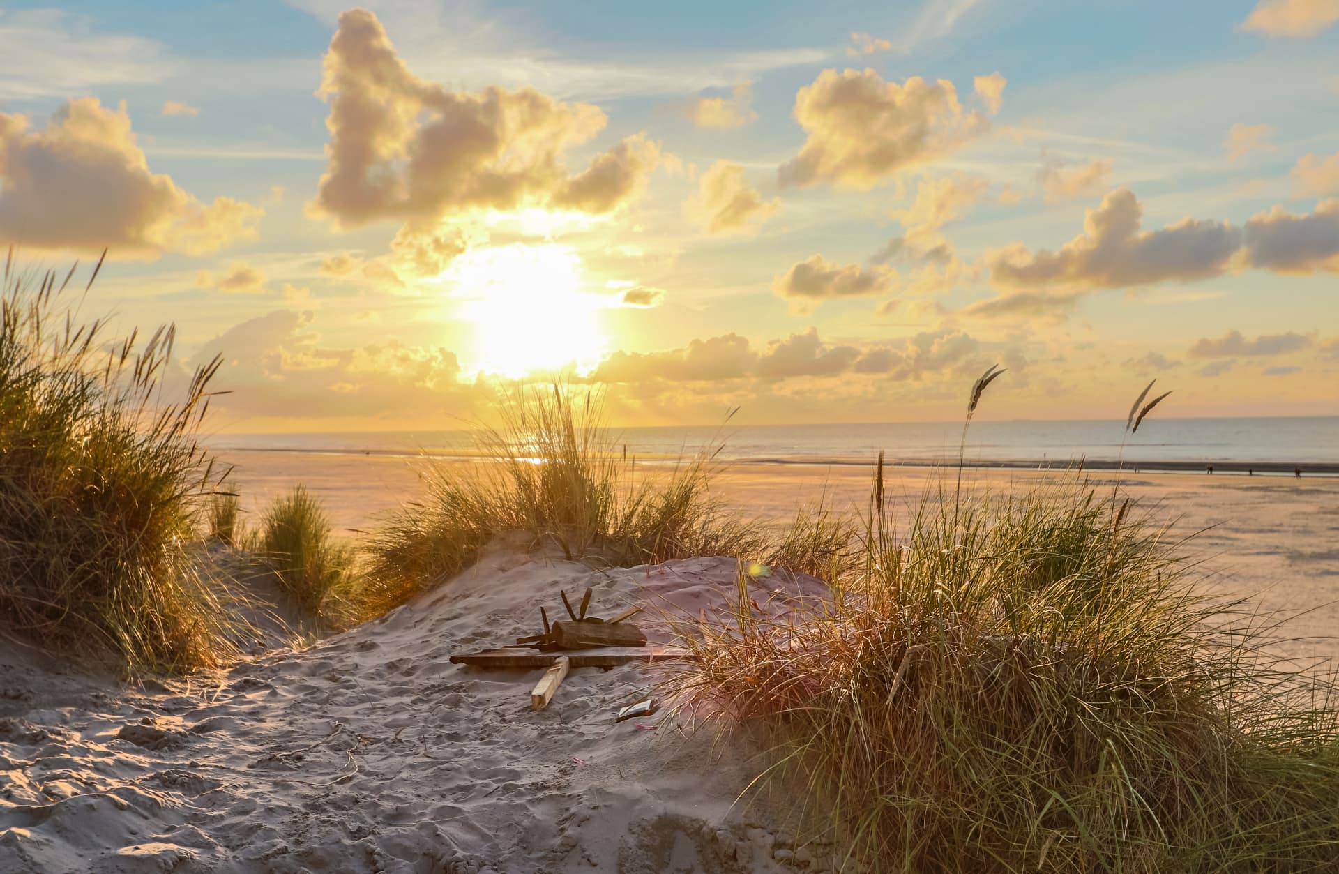 Holland Beaches | Best beaches in Holland | lastminute.com