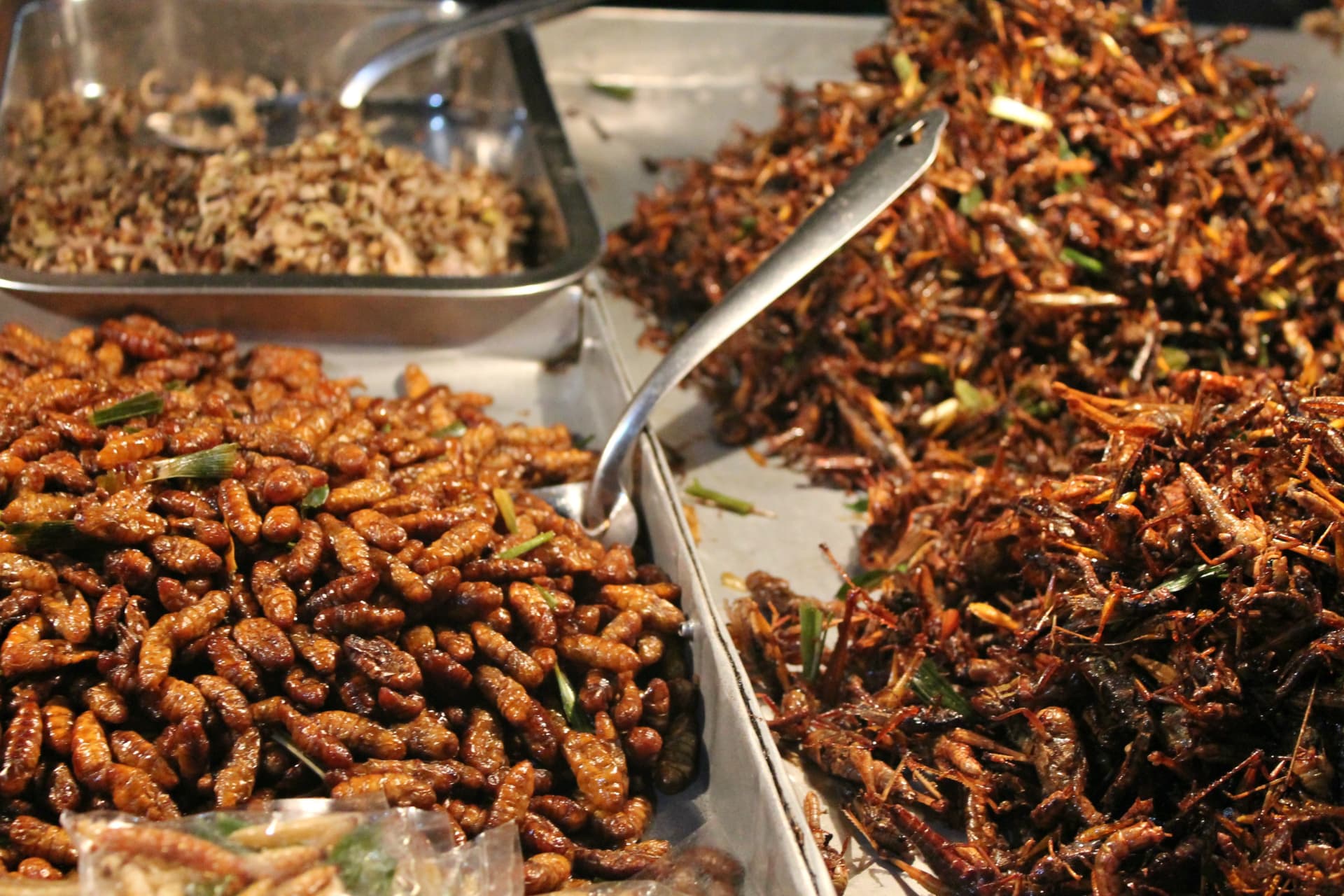 Il cibo in Thailandia: 10 specialità da provare | Volagratis