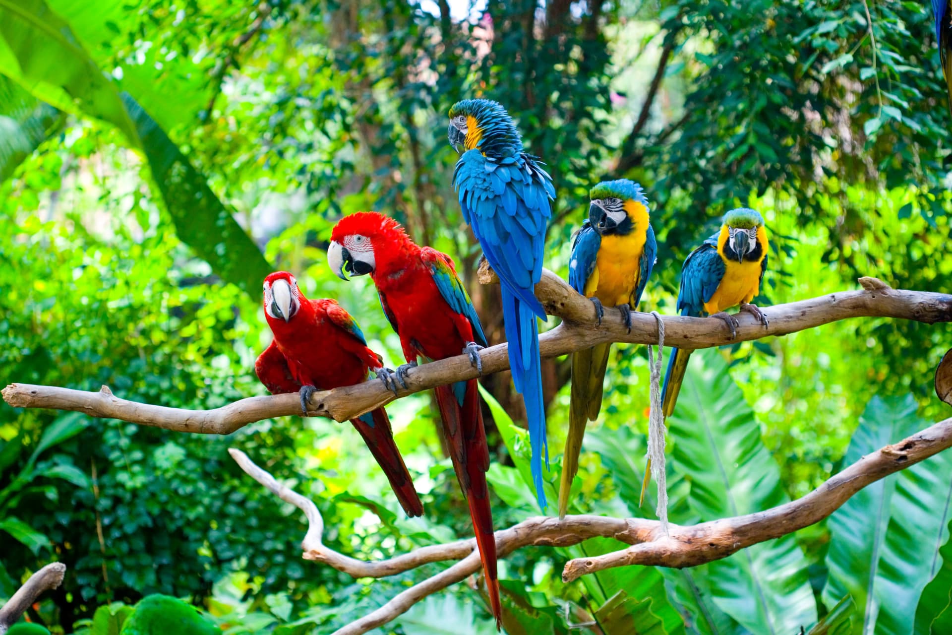 Gran Canaria Reisetipps - die Highlights der Kanareninsel | weg.de