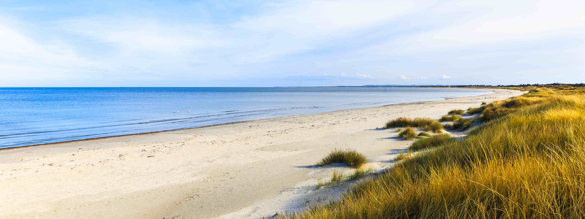 Die schönsten Strände in Dänemark für den Strandurlaub | weg.de