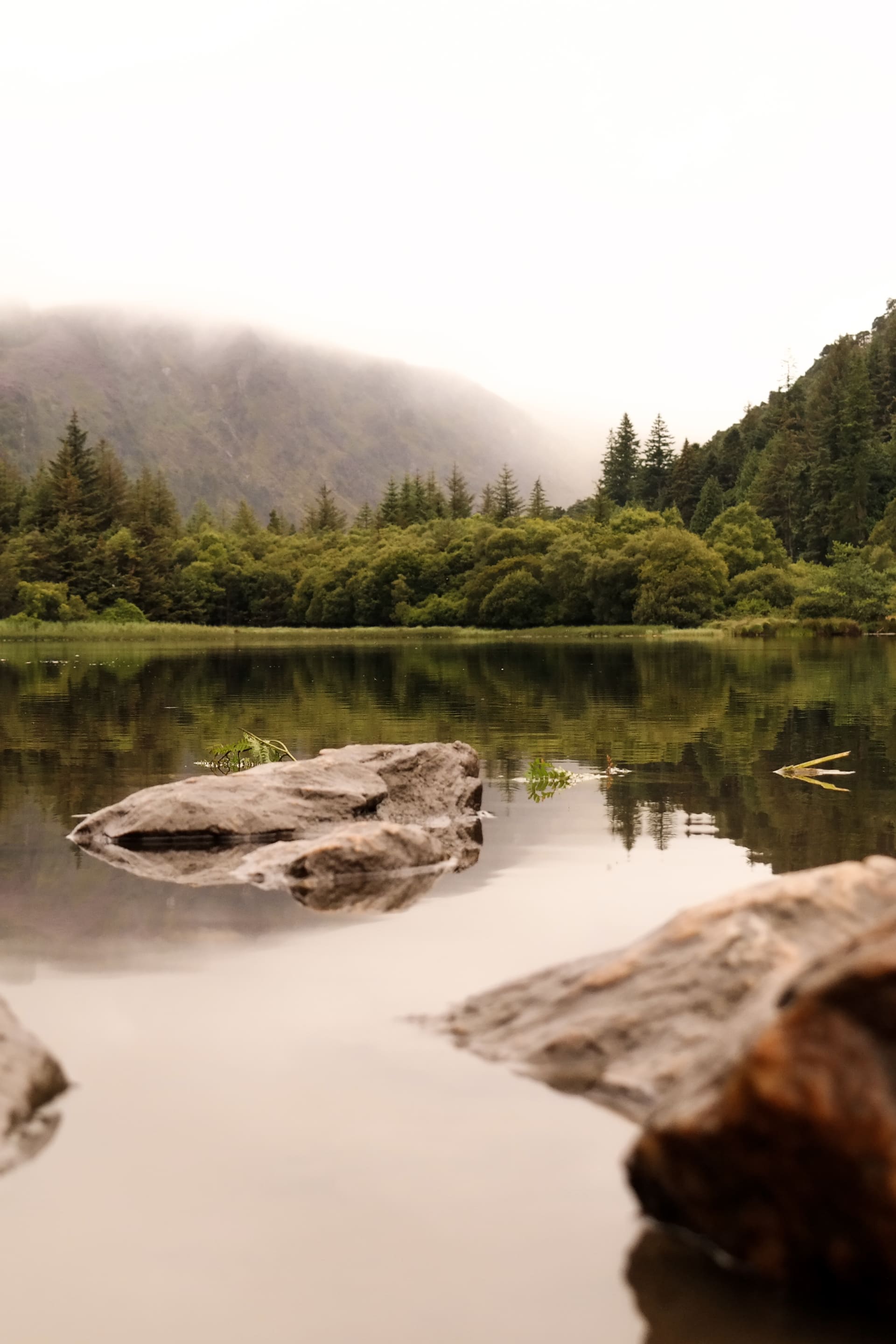 5 best Ireland tours | lastminute.com