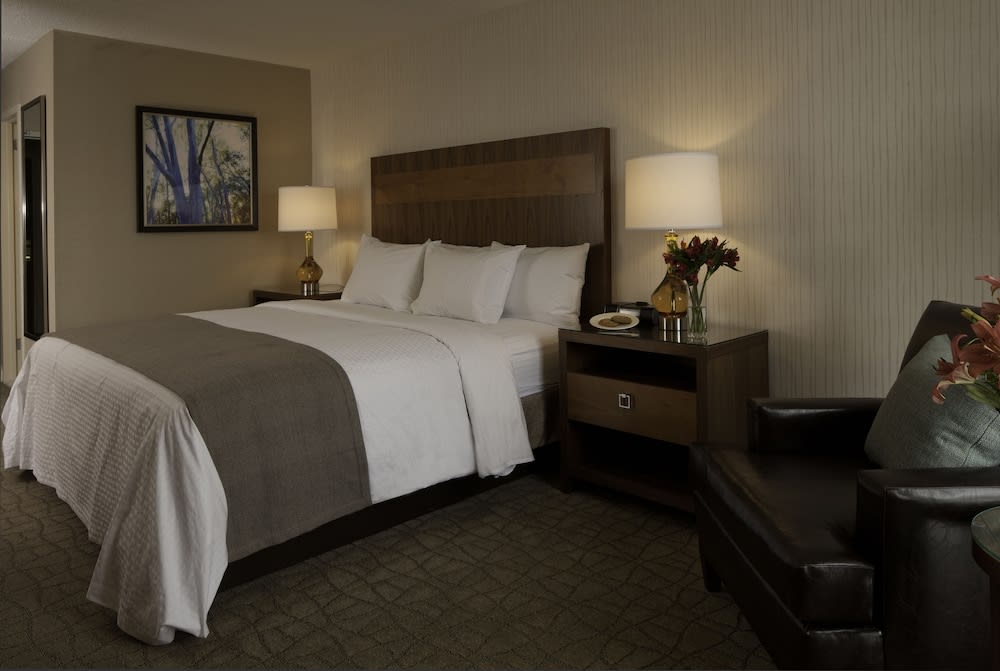 DoubleTree by Hilton Pittsburgh-Green Tree, Pittsburgh (PA) | Best ...