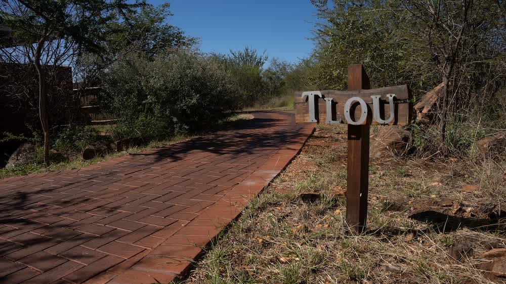 Rockfig Lodge Madikwe, Madikwe Game Reserve | Mejores ofertas | Rumbo