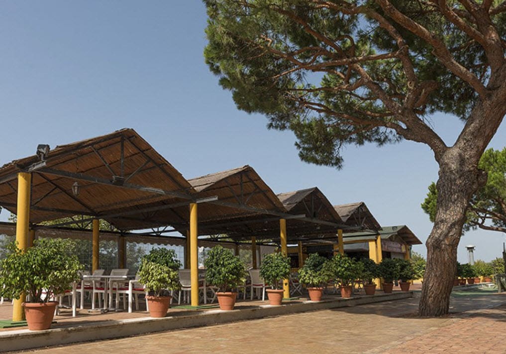 Pato Rojo, Punta Umbría | Mejores ofertas | Rumbo