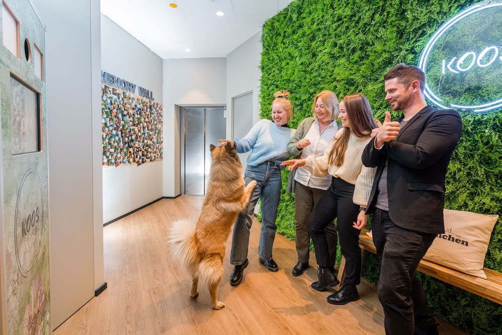 KOOS Hotel&Apartments - City Aparthotel, Munich | Best deals ...