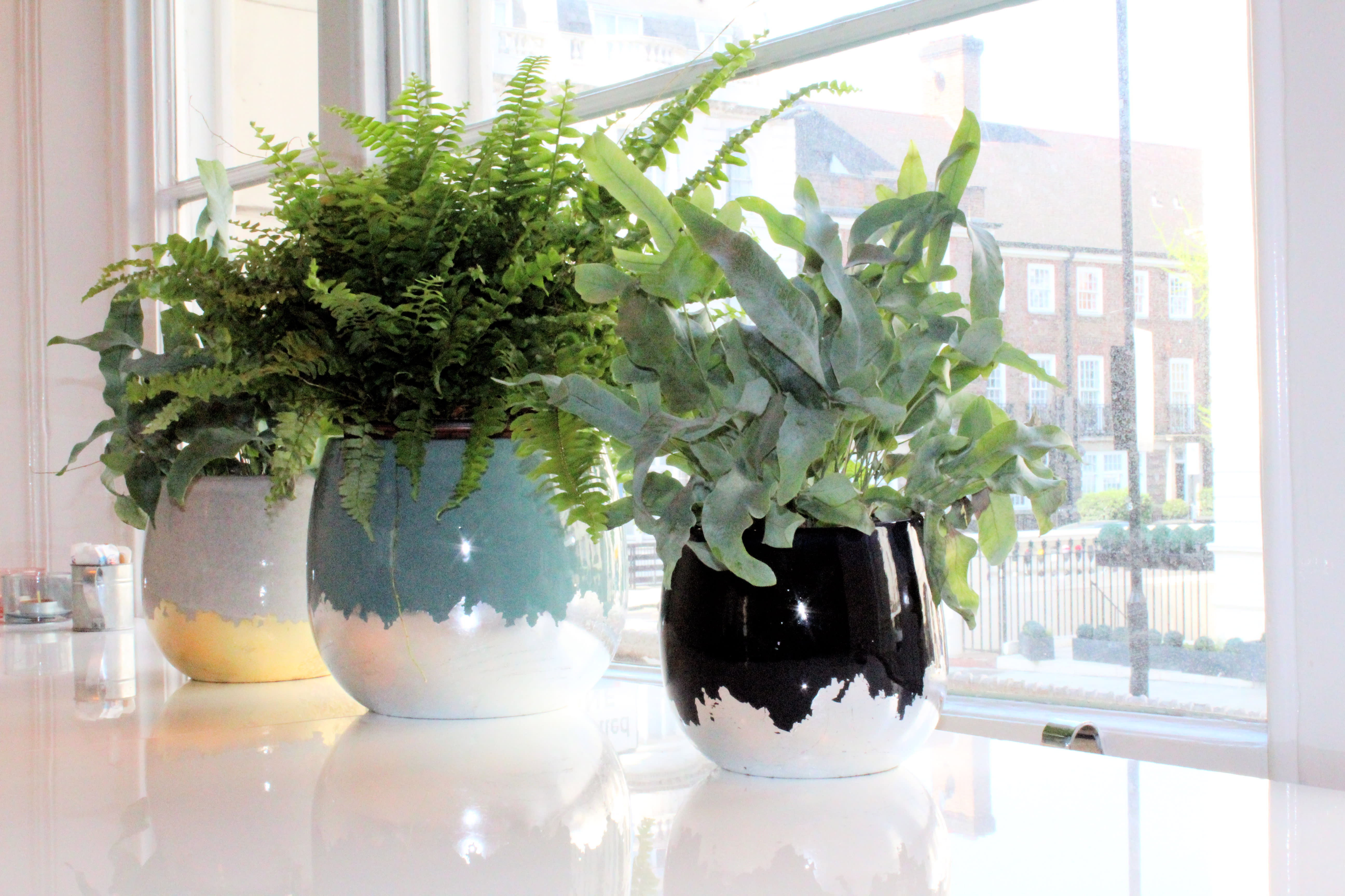 NOX Lancaster Gate, London | Best deals | lastminute.com