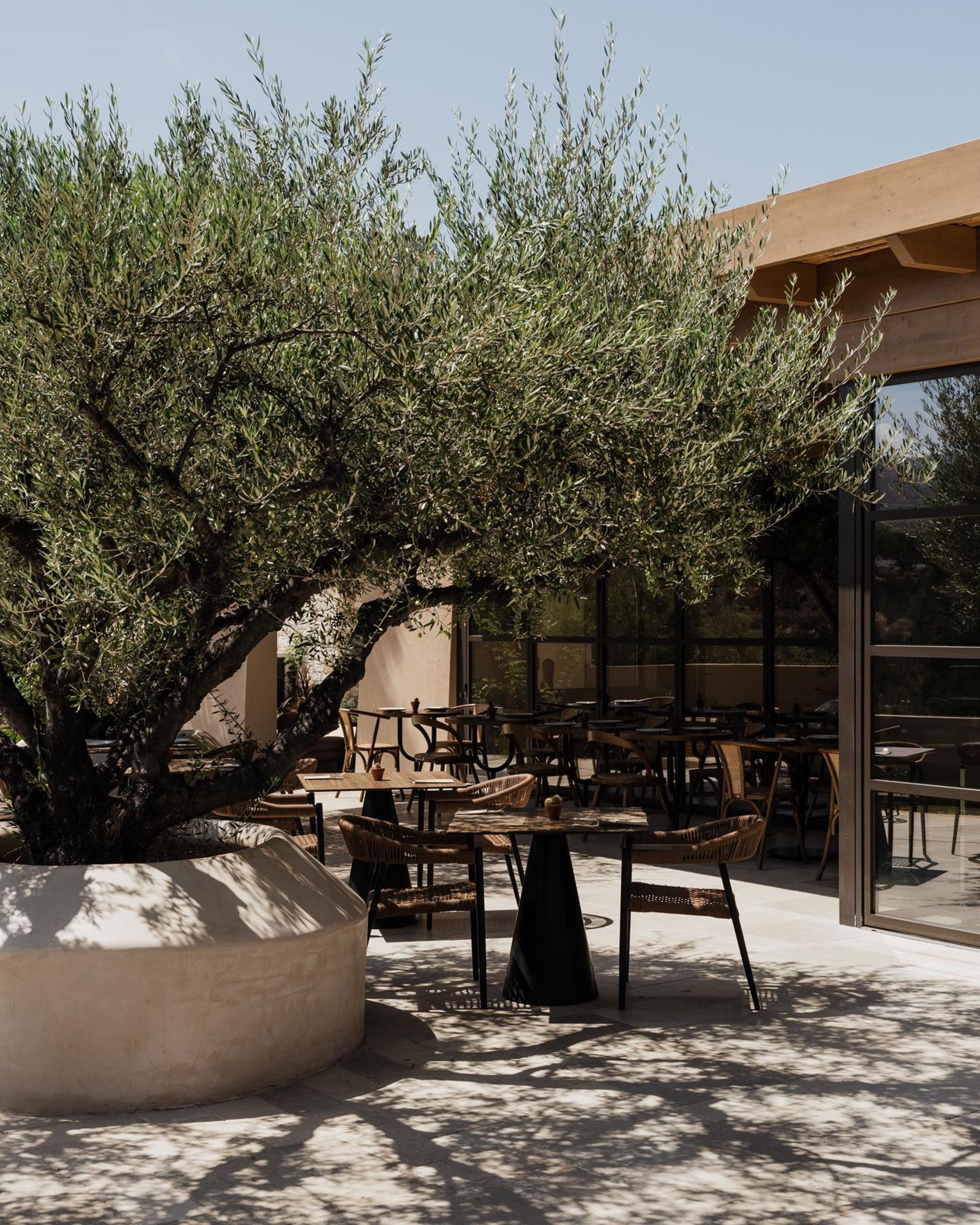 Momi Slow Living Hotel, Hersonissos | Best deals | lastminute.com