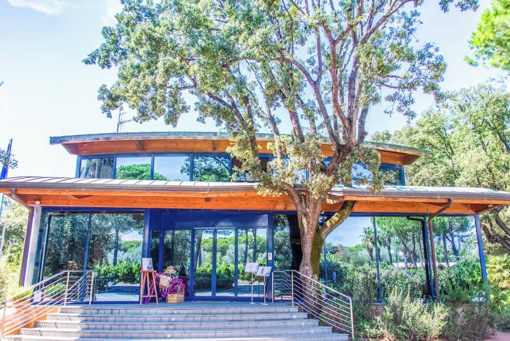 Resort Riva degli Etruschi, San Vincenzo | Offerte top | lastminute.com IT