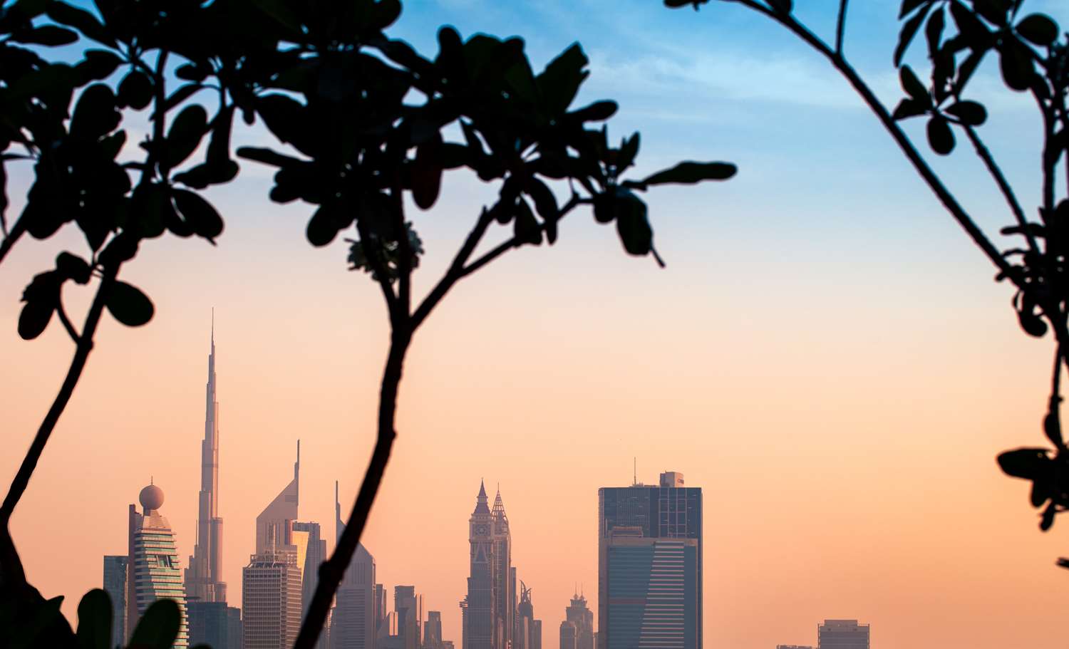 DoubleTree by Hilton Dubai M Square Hotel & Residences, Dubai ...