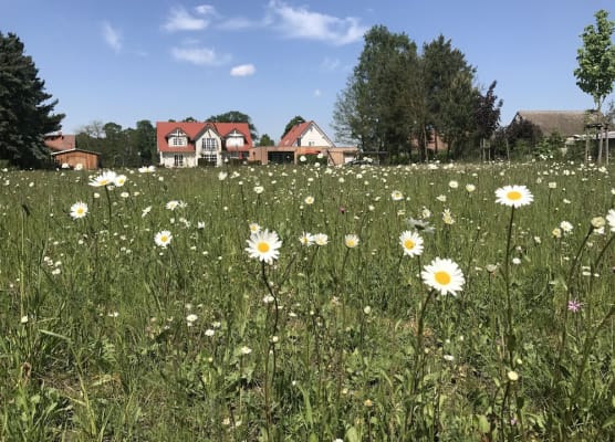 Alwine - Landhaus an den Spreewiesen, Rietz Neuendorf | Günstige ...