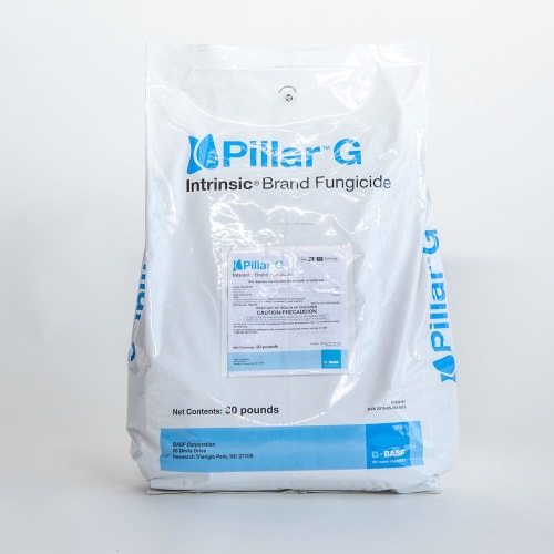 THE 5 BEST Fungicides For Lawns - Lawn Phix