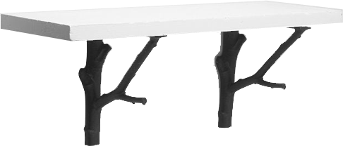 White Lacquer Shelf & Black Branch Bracket - Lay Baby Lay Lay Baby Lay
