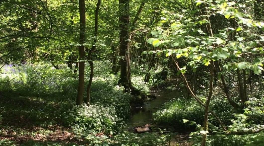 Stratton Farms | LEAF (Linking Environment and Farming)