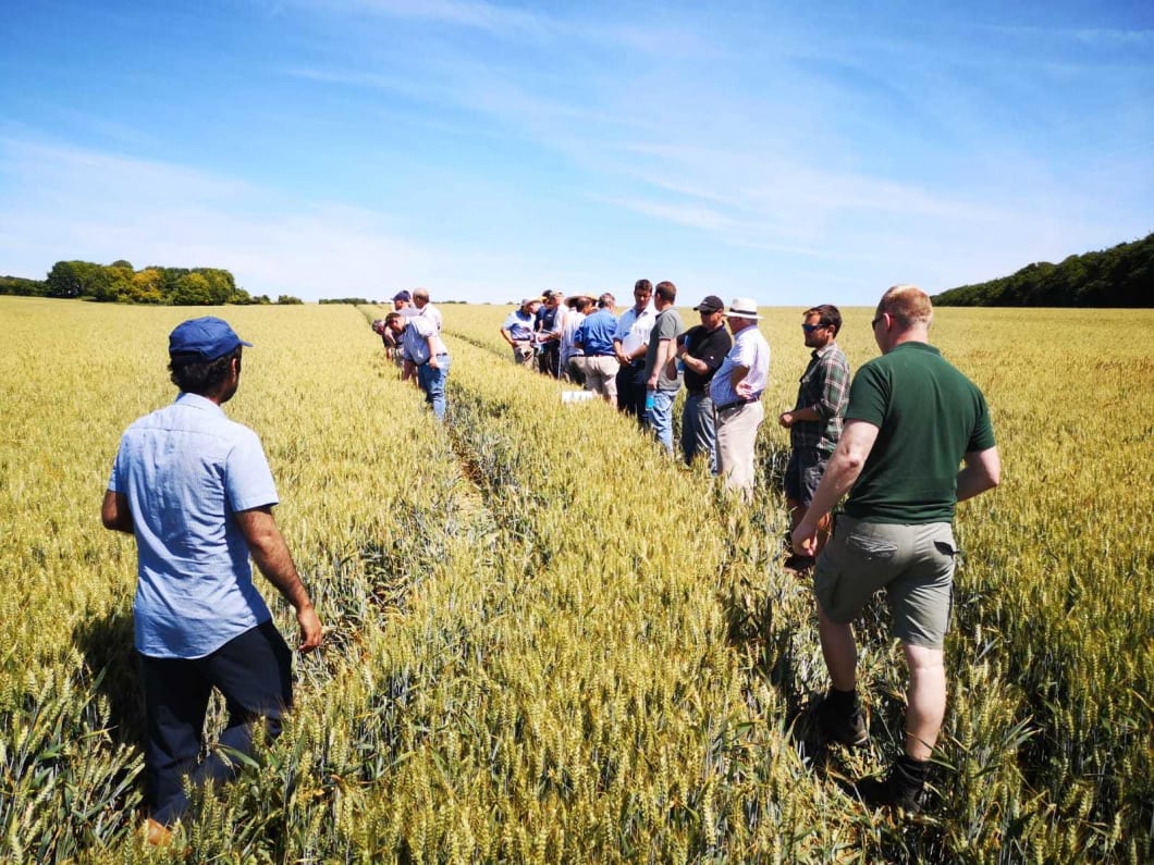 Lockerley Estate | LEAF (Linking Environment and Farming)