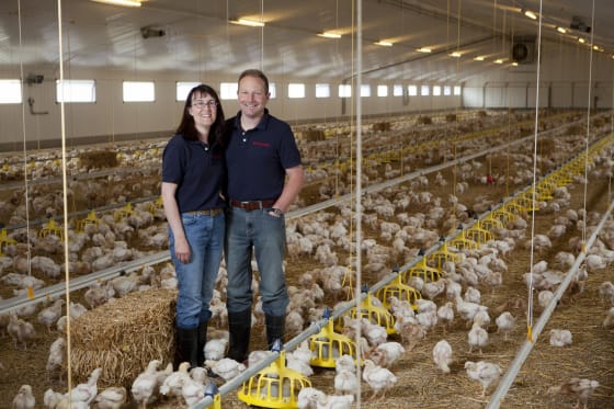 Frogmary Green Farm | LEAF (Linking Environment and Farming)