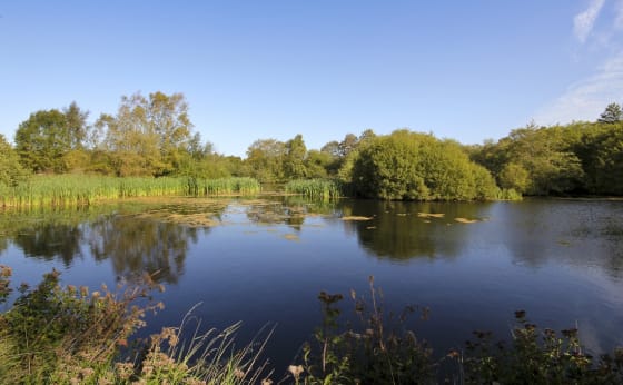 Wantisden Hall Farms | LEAF (Linking Environment and Farming)