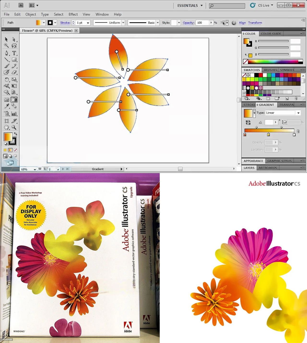 The Complete History Of Adobe Illustrator - Learn Computer Academy