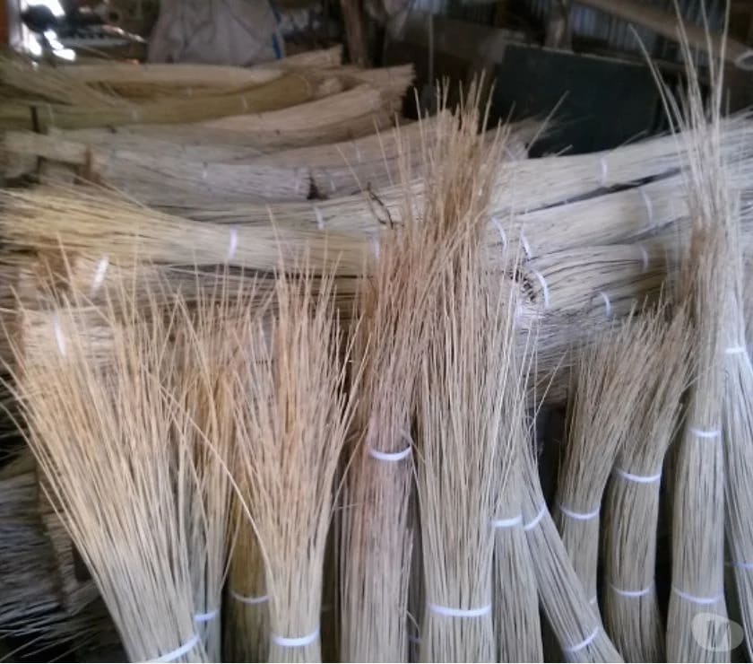 Qu'est ce que l'osier ? - Comptoir De La Vannerie