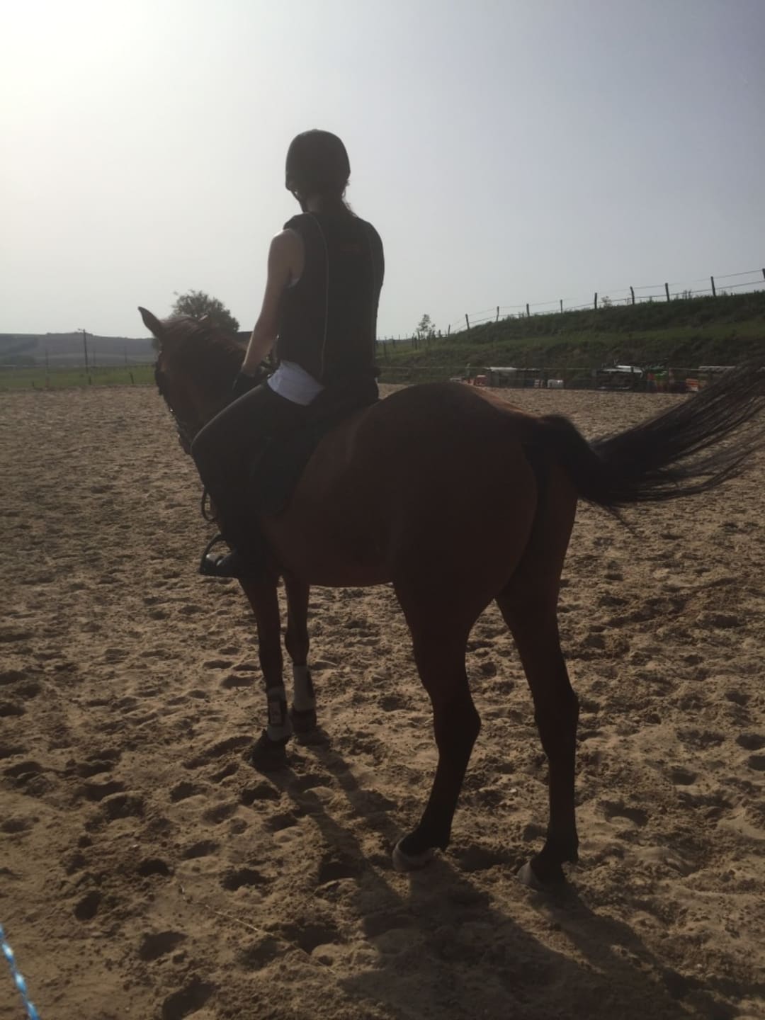 Cagnotte : Tous solidaires pour les écuries Lalye - Leetchi.com